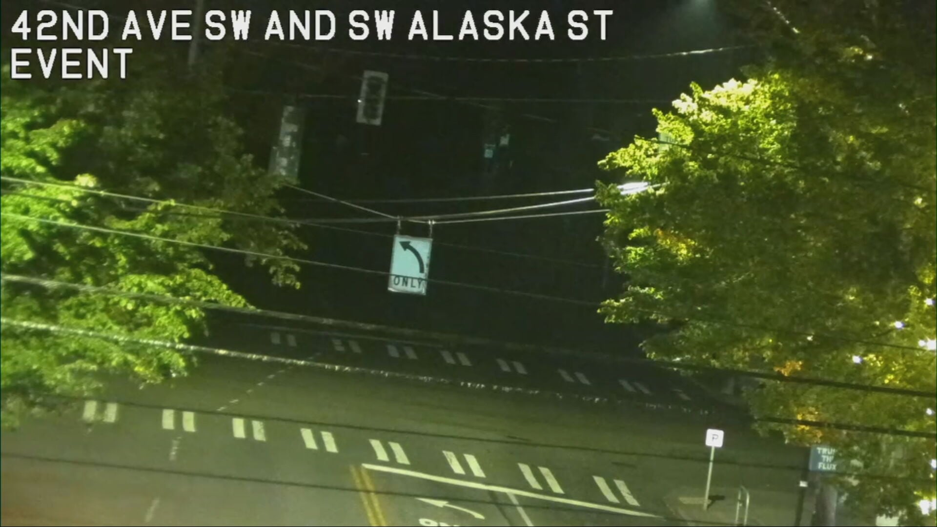 Tree knocks out power to over 2K in West Seattle