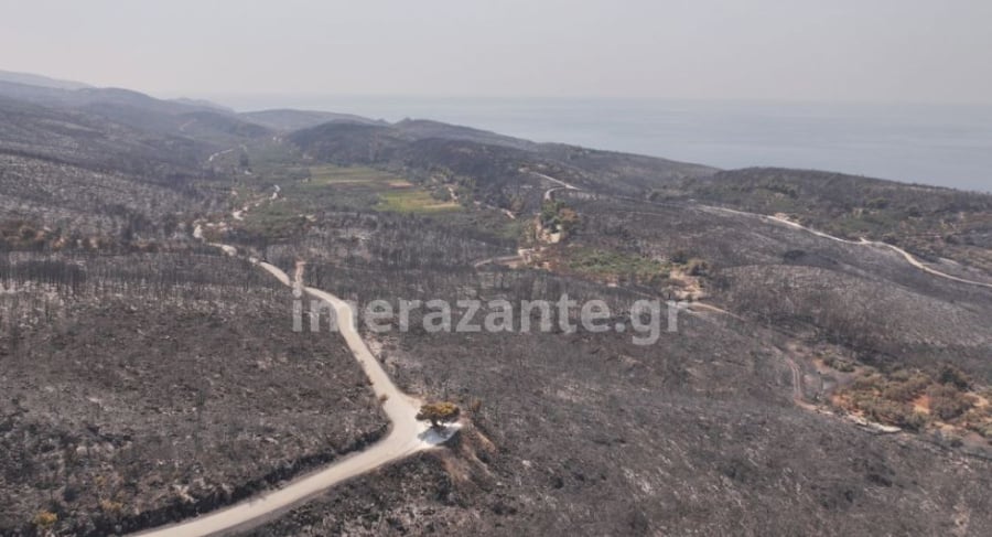 Θλίψη από την καταστροφή στην Ζάκυνθο: Ούτε ίχνος πράσινου (εικόνες)
