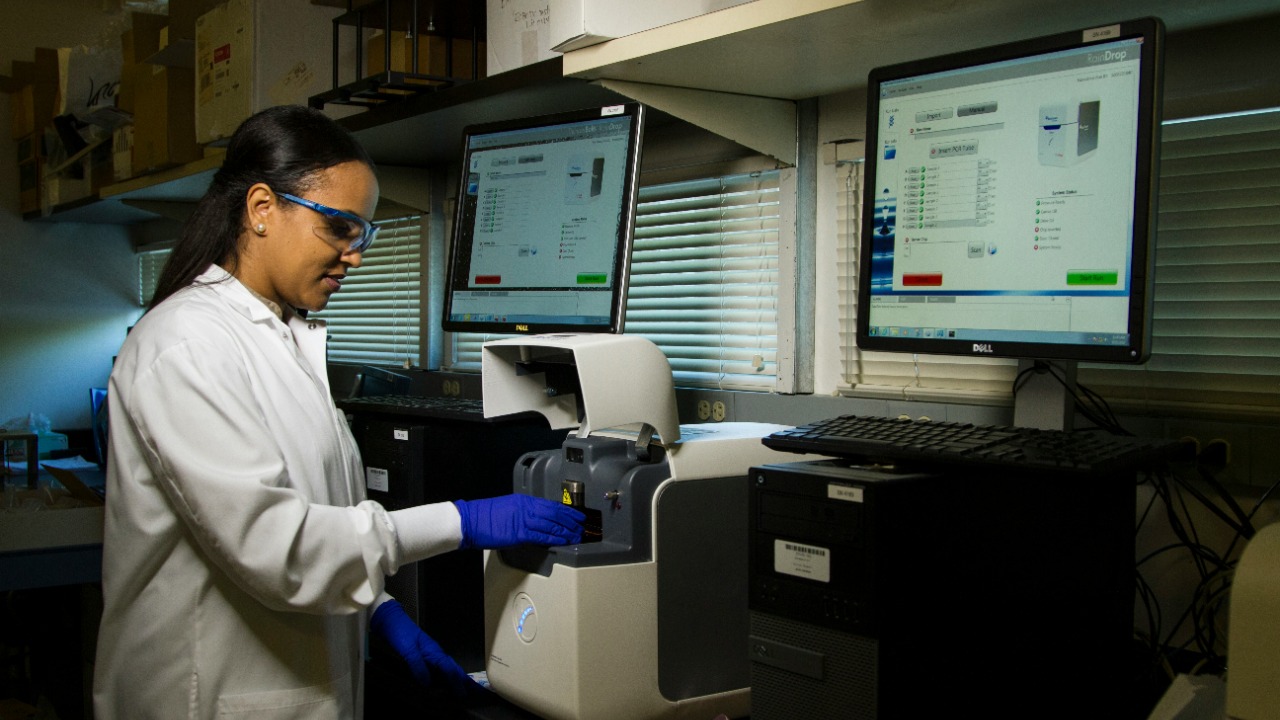 DNA-based system targets cancer cells and releases drugs at tumors