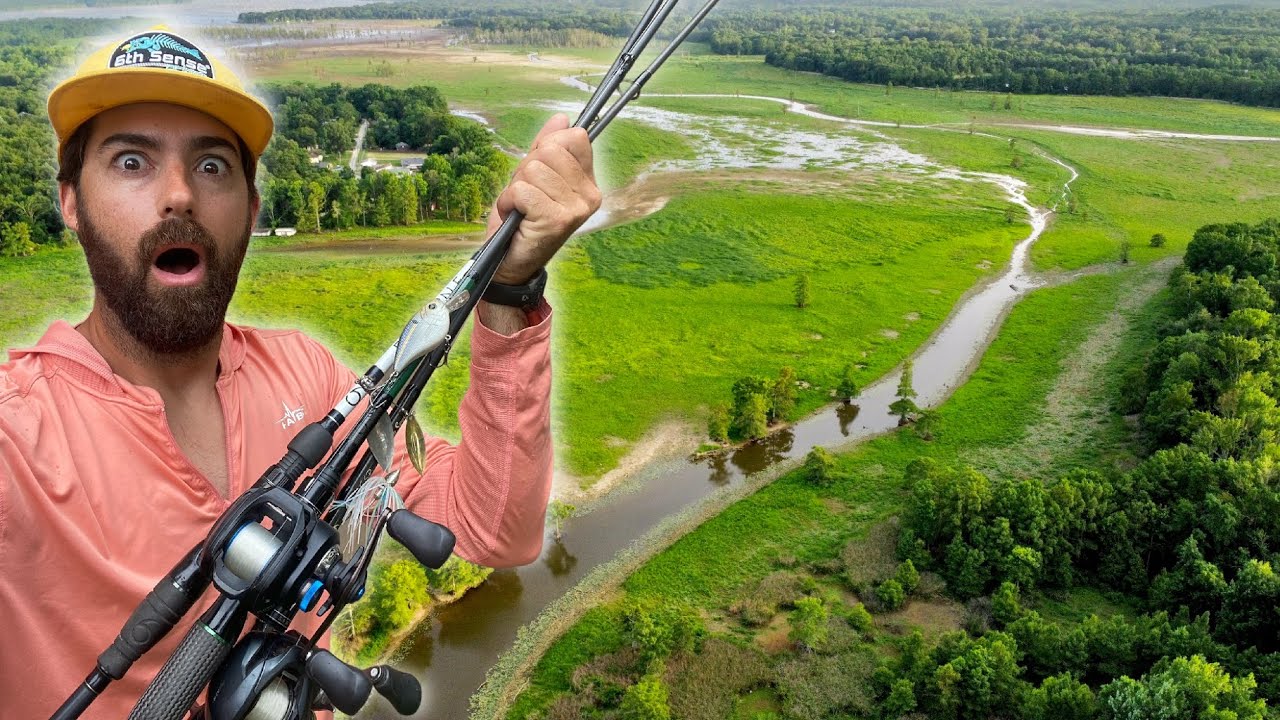 Lake Drains Reveal Hidden Fish in Old Creek Beds