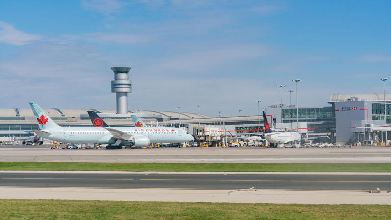 Almost all Air Canada flights will be cancelled this week as flight ...