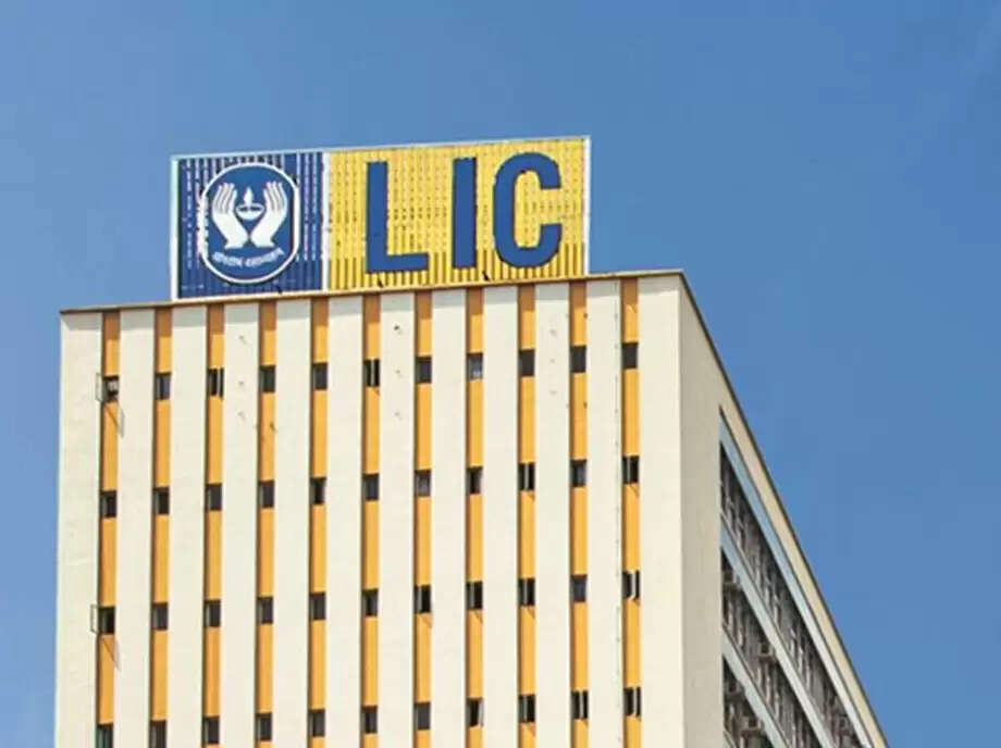 LIC: Salaried class gets guaranteed returns, coverage up to 100 years ...