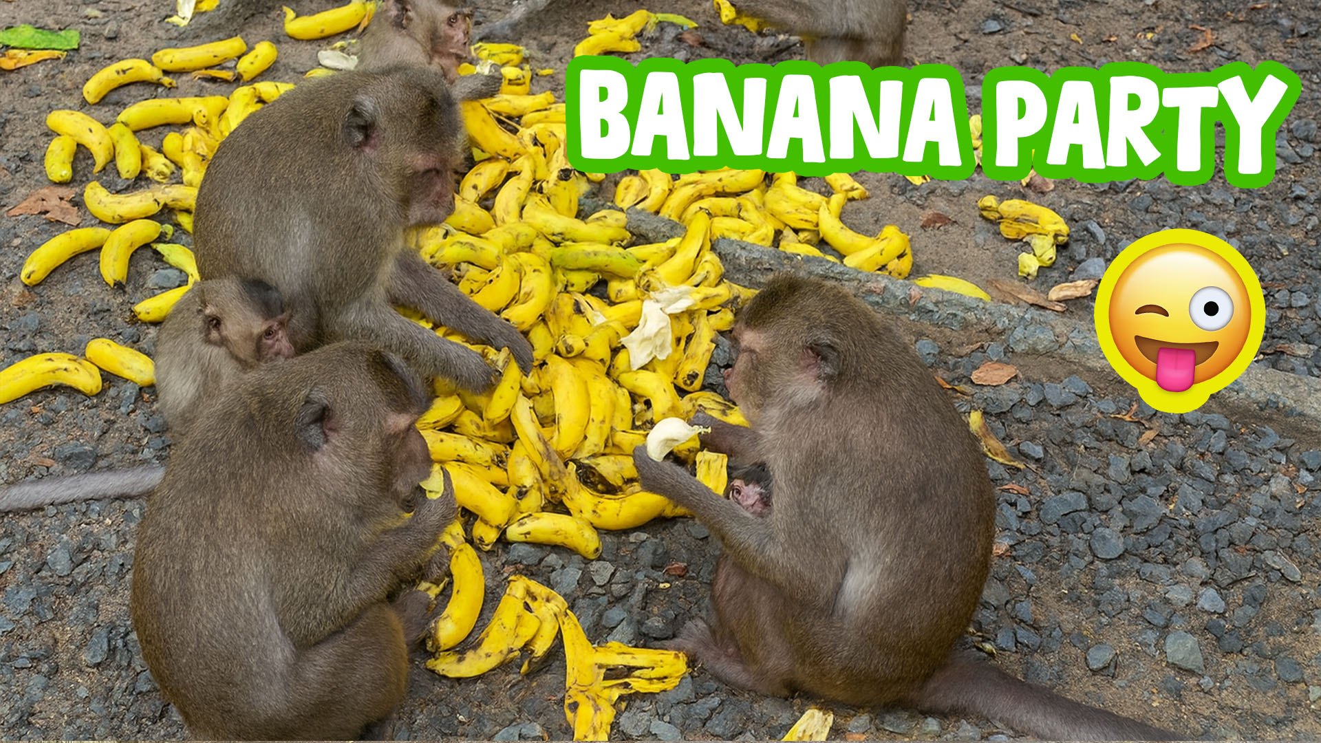 Monkeys Enjoying a Fun Banana Feast