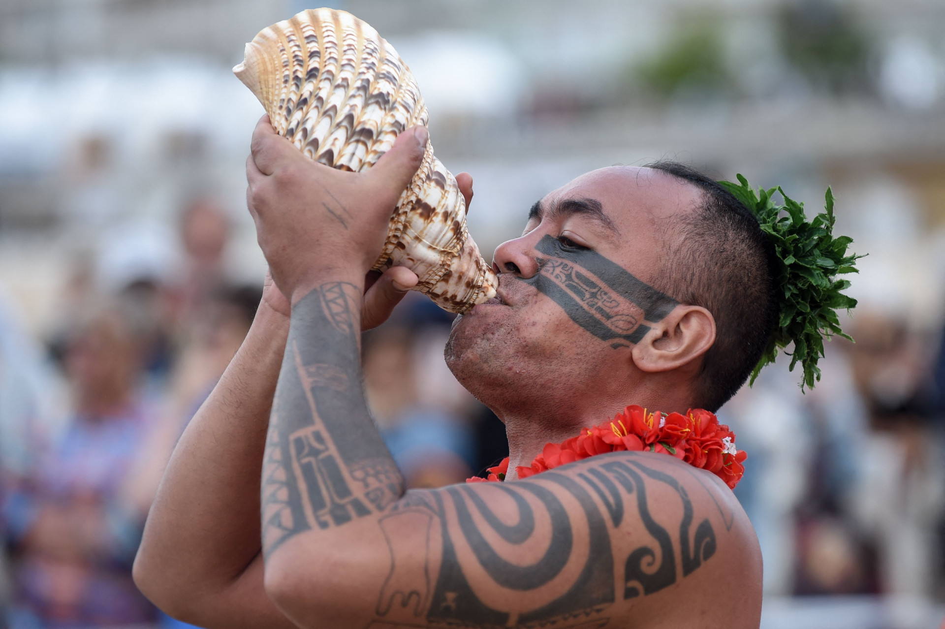 Did Polynesians discover the Americas before Columbus?