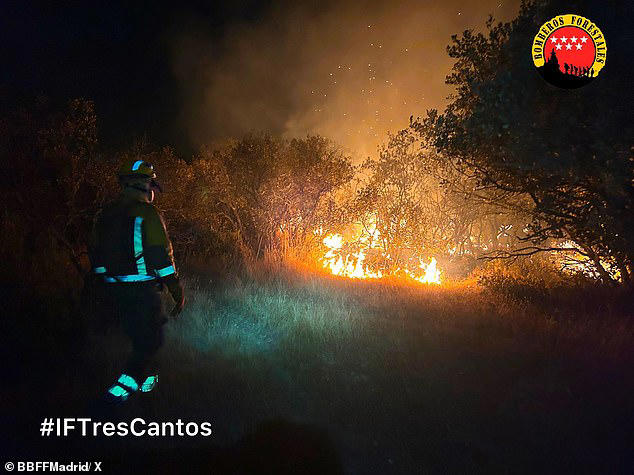 Thousands battle Greek wildfires as flames descend on third-largest ...