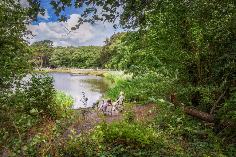 We visit stunning East Midlands country park: Full day of fun for price ...