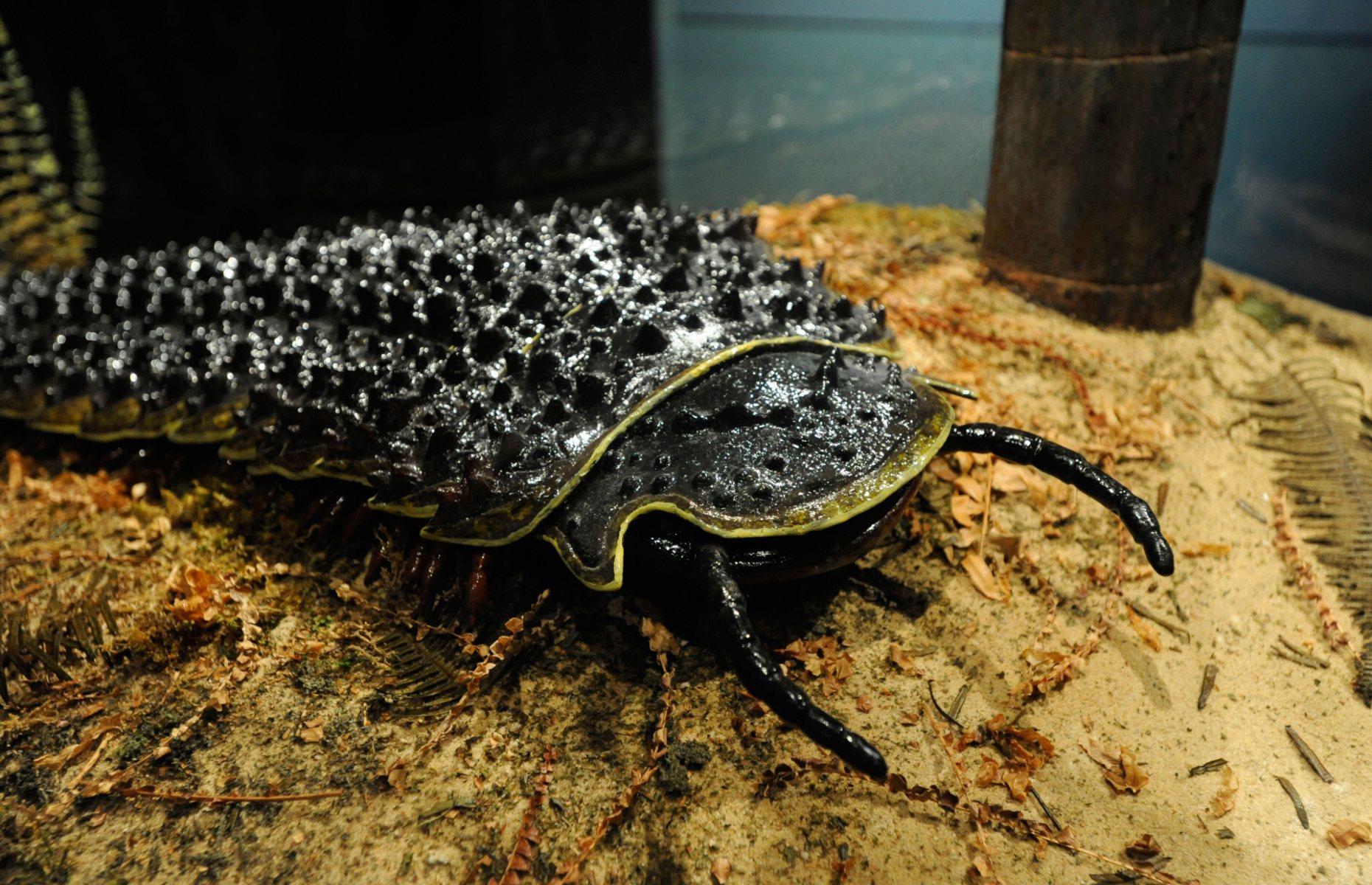 30 extraordinary animals that once roamed Britain