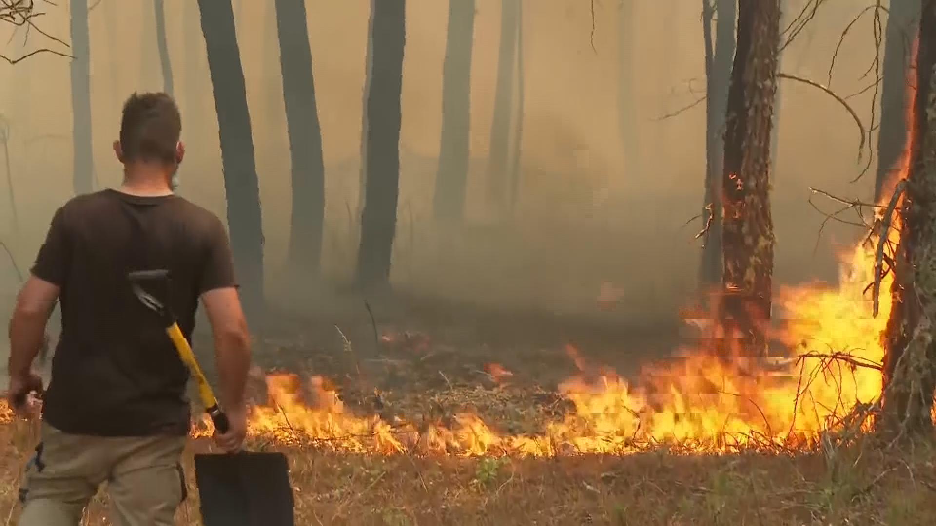 More than 700 firefighters try to control wildfire in Trancoso ...