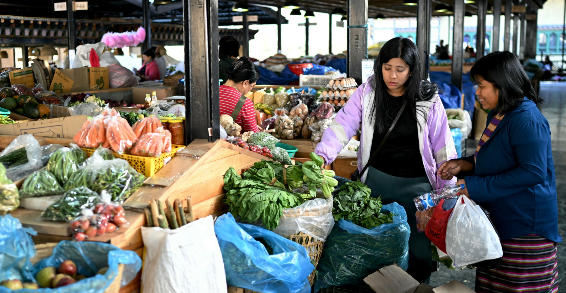 Unique economies that work surprisingly well