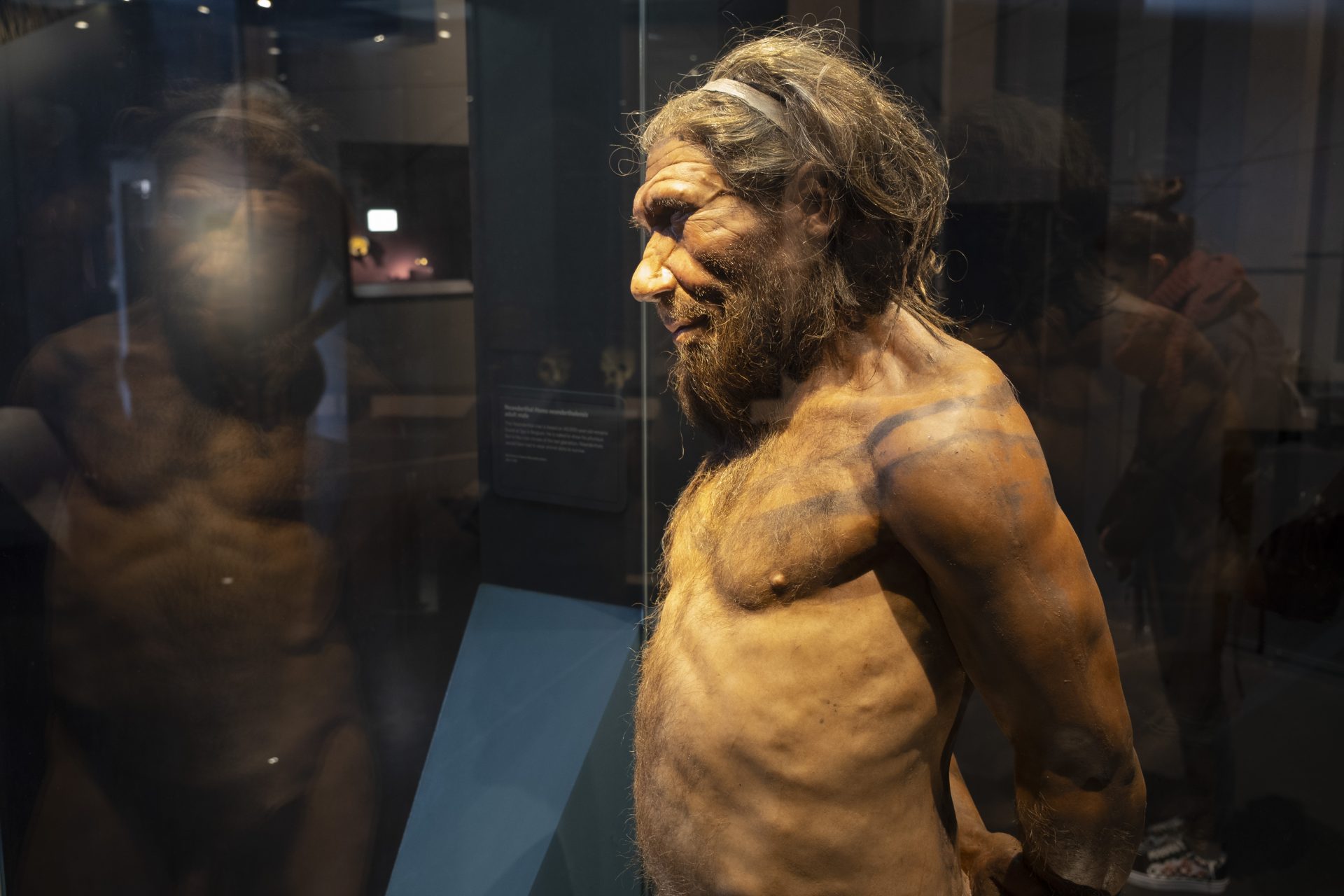 Hoe Neanderthalers en moderne mensen naast elkaar leefden in Europa