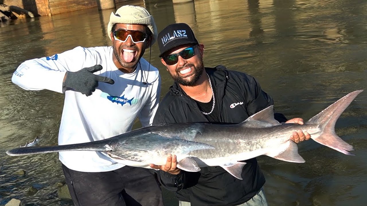 Endangered river monster hooked! | Paddlefish catch & release