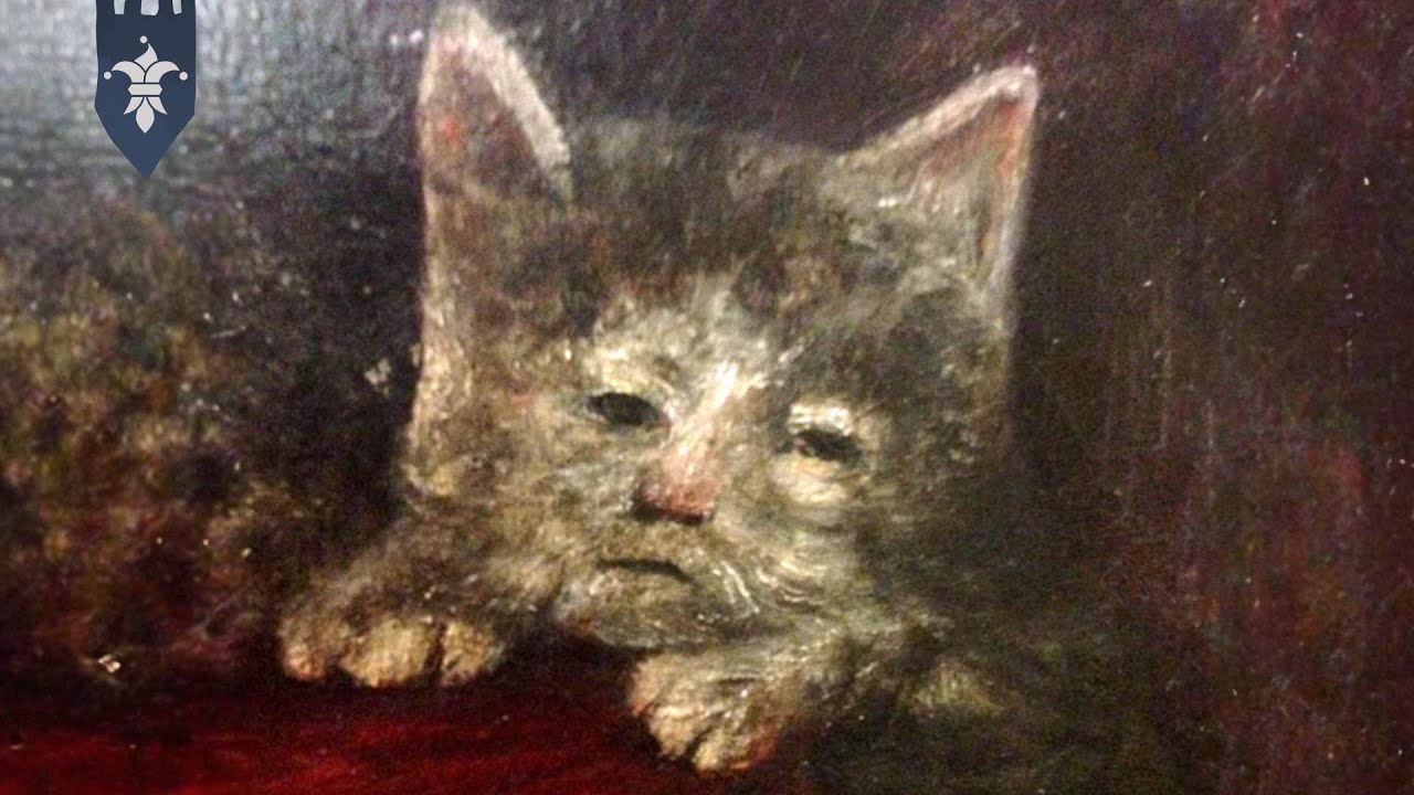 You Won't Believe How Cats Were Persecuted During the Medieval Era.