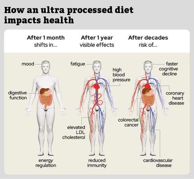 What happens to your body after eating UPFs for a day, a year and a ...