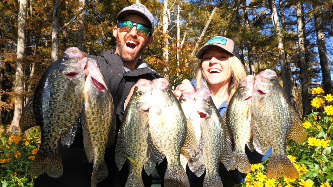 Slab crappie jackpot hit swamp fully loaded with giant fish