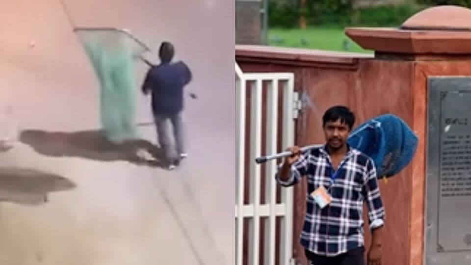 ‘Nets, scooters, and midnight raids’: Stray dogs rounded up in Delhi ...