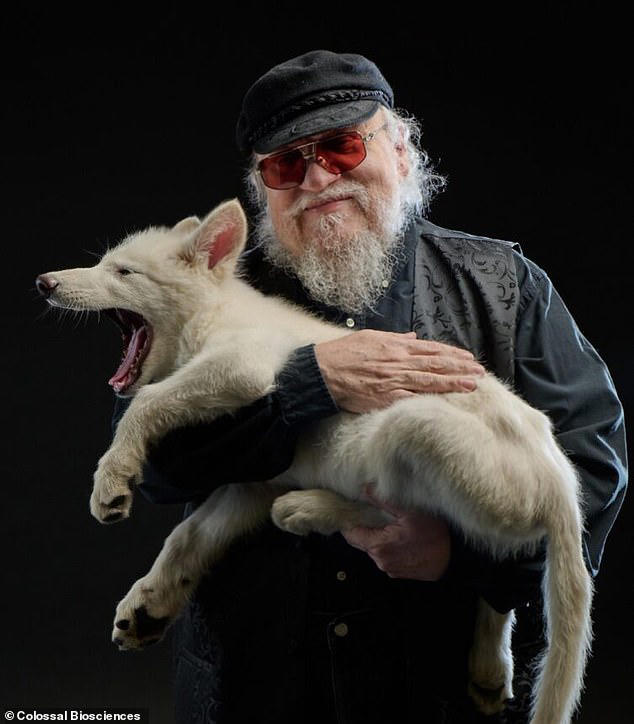 Meet Khaleesi: First female dire wolf is brought back from EXTINCTION