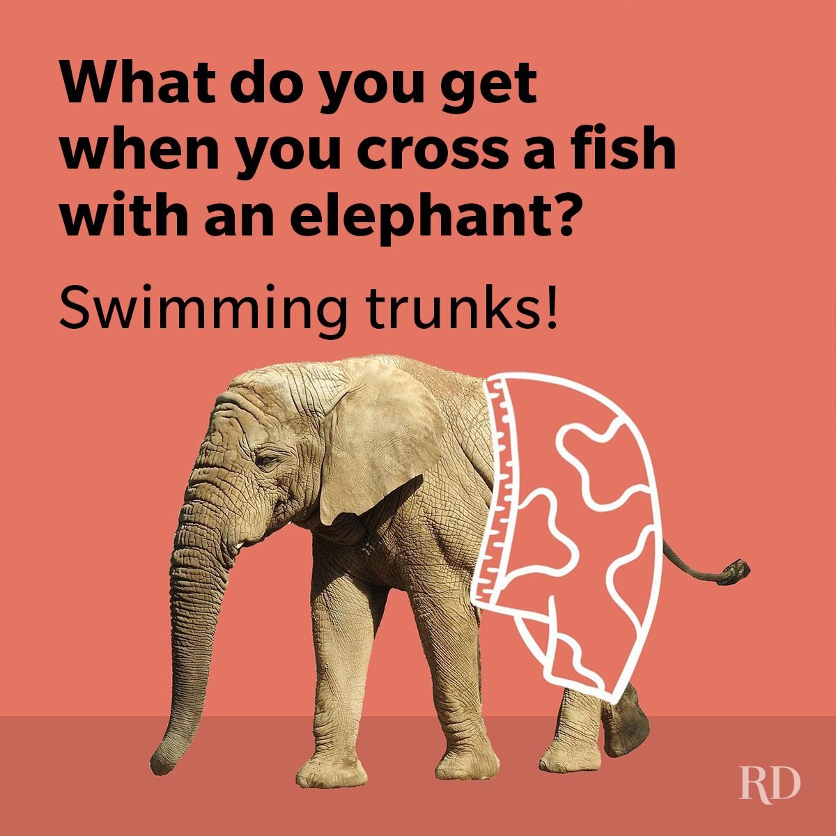 45 Elephant Jokes That Are a Ton of Laughs