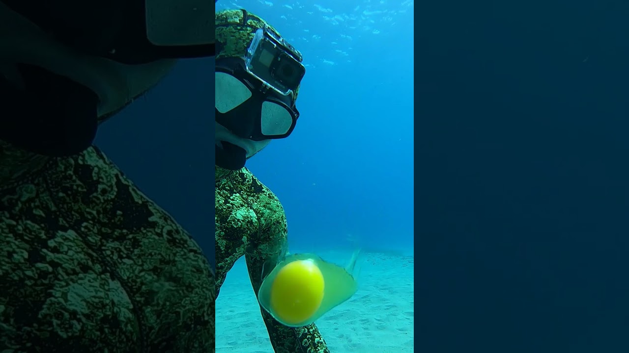Diver Cracks Egg at 45 ft Deep
