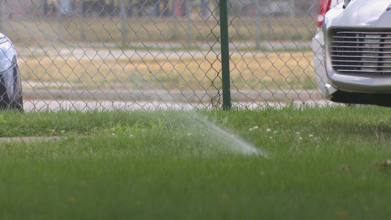 Does Windsor-Essex's heat wave mean your lawn needs more water? Not ...