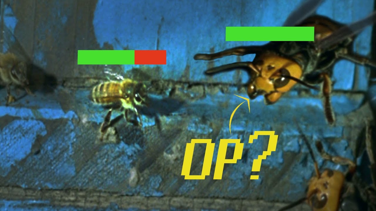 Why Ants and Bees Would Get Nerfed in Any Other Game