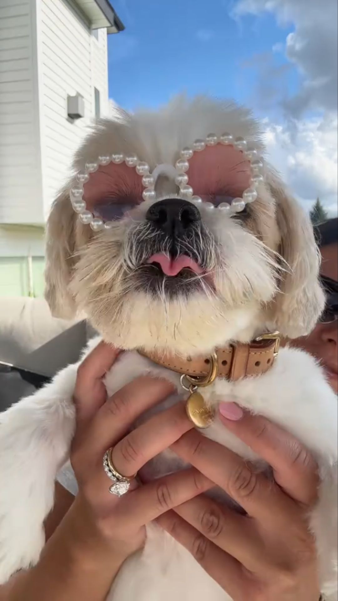 Stella’s Chill Reaction to This Viral Trend Will Make You Smile