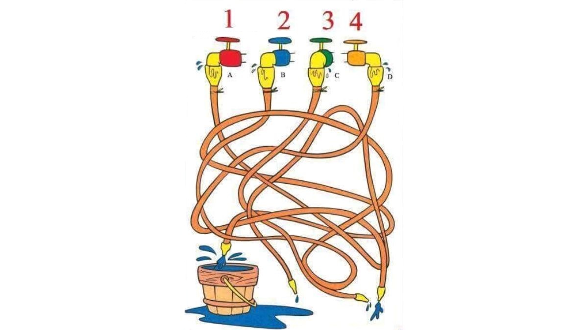 IQ Test: Solve This Viral Puzzle In 10 Seconds! Which Tap Is Filling ...