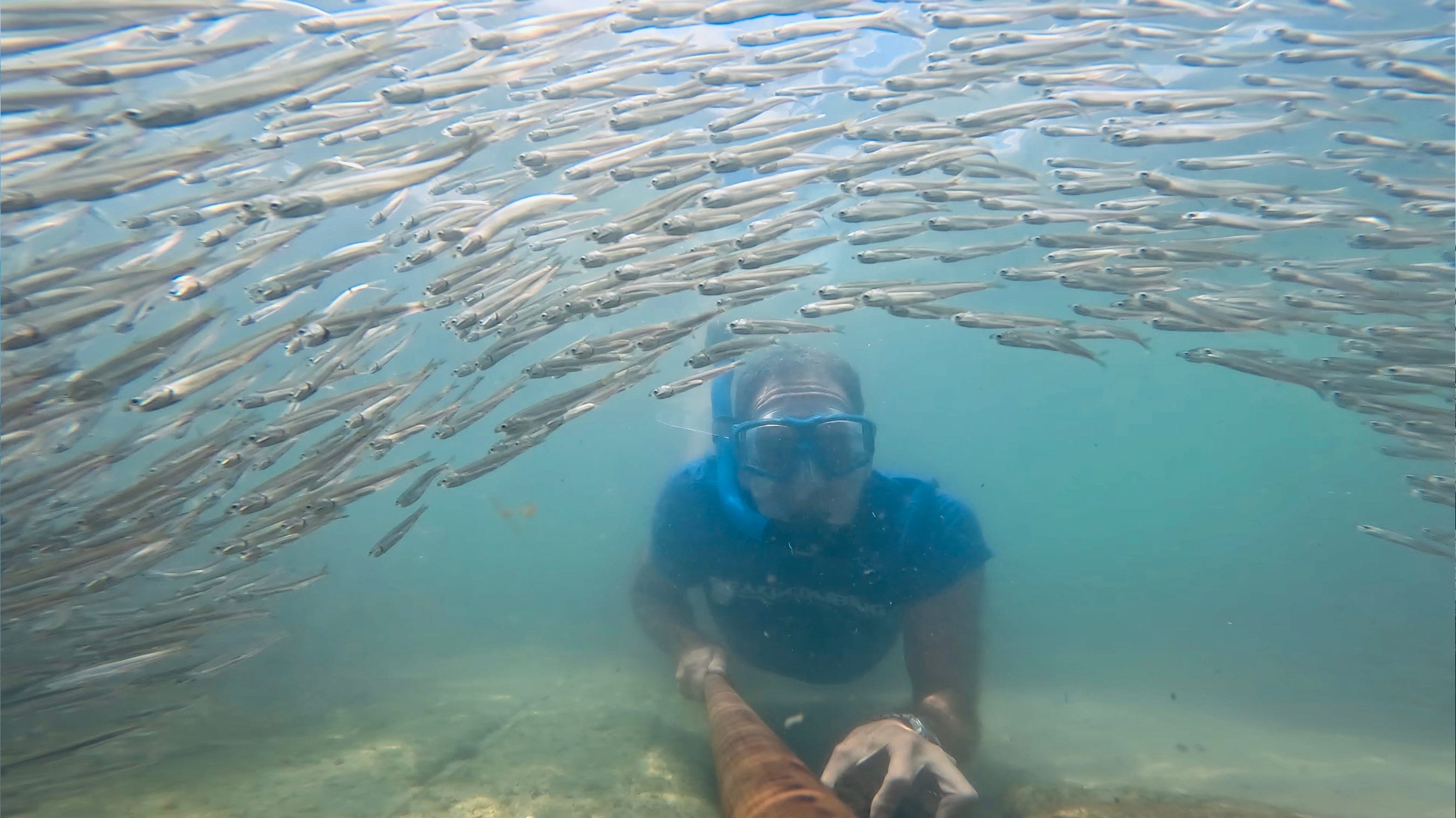 Want to snorkel along Texas coast? Here's how to have the best experience