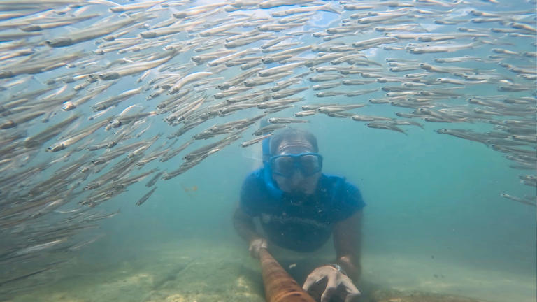 Want to snorkel along Texas coast? Here's how to have the best experience