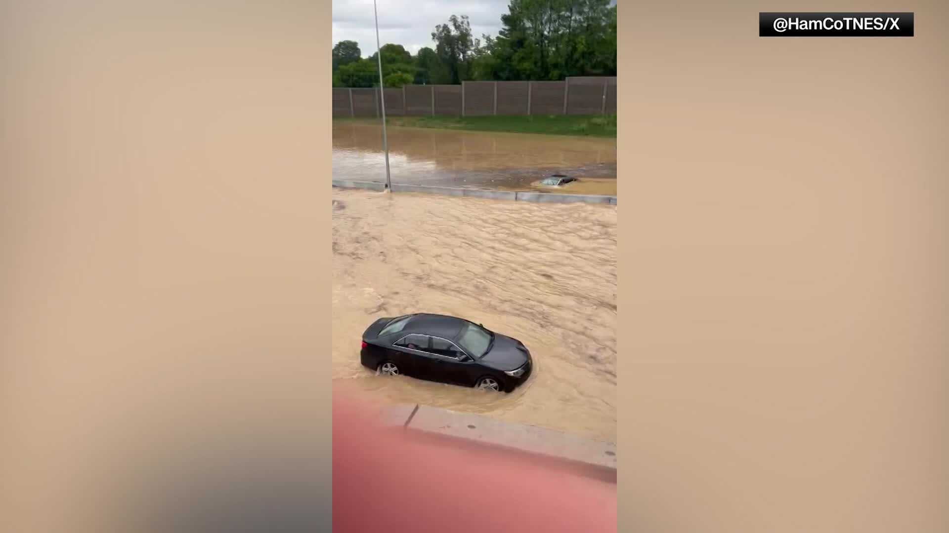 Parents and child killed when tree falls on their car as heavy rain and ...