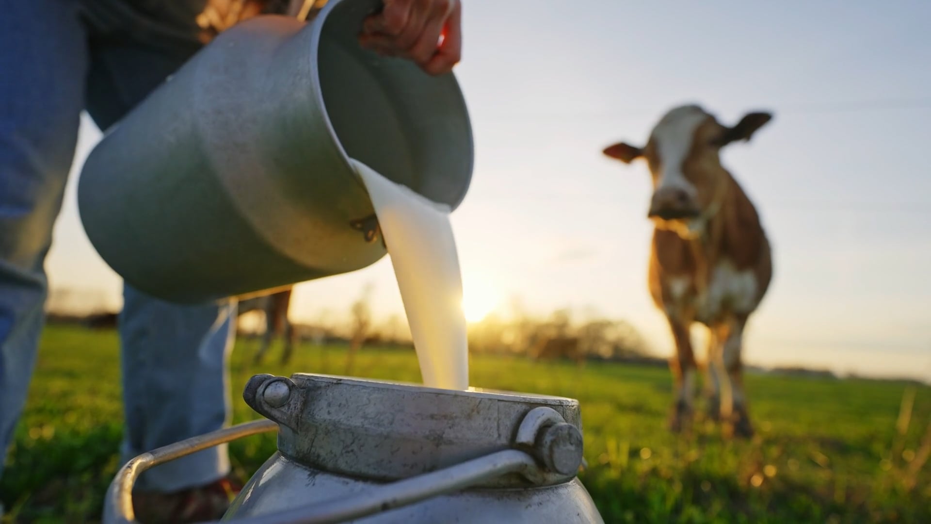 Whole milk vs. 2%: Nutritionists end the debate