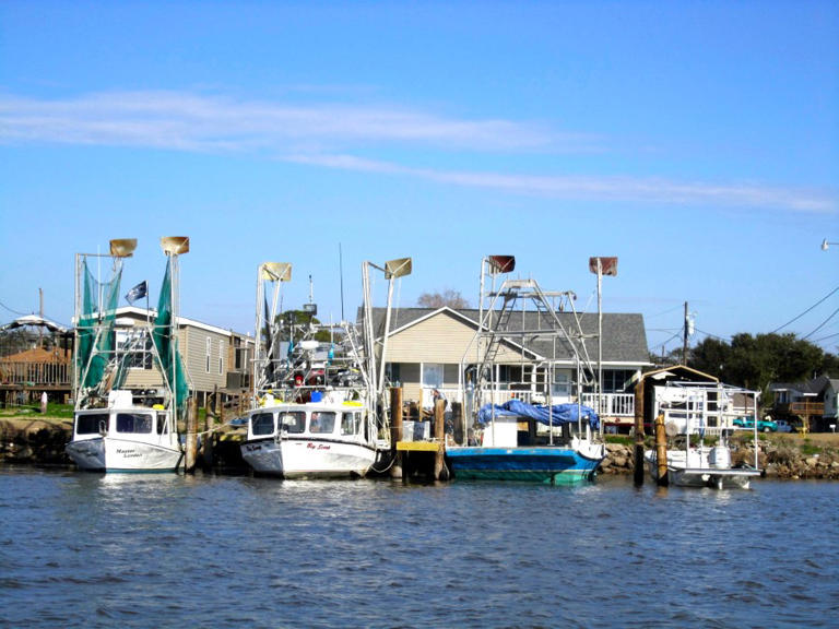 Commercial fishing licenses now on LA Wallet app, Louisiana wildlife ...