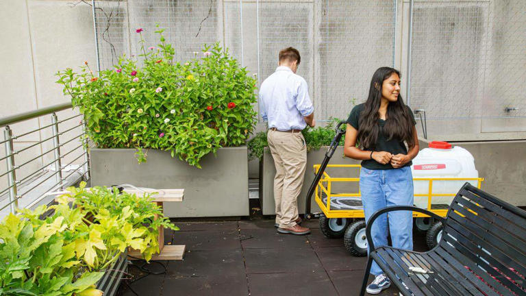 BCTC students plant community garden as source for school's food pantry