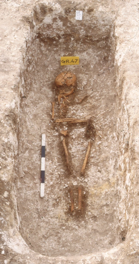 DNA testing of 1,400-year-old skeletons reveals ethnic diversity of ...