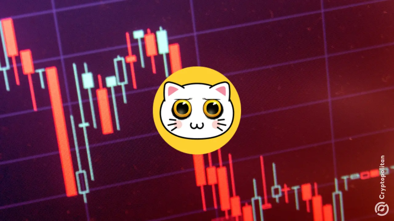 KIKI launch sabotaged with insider bots and fake tokens
