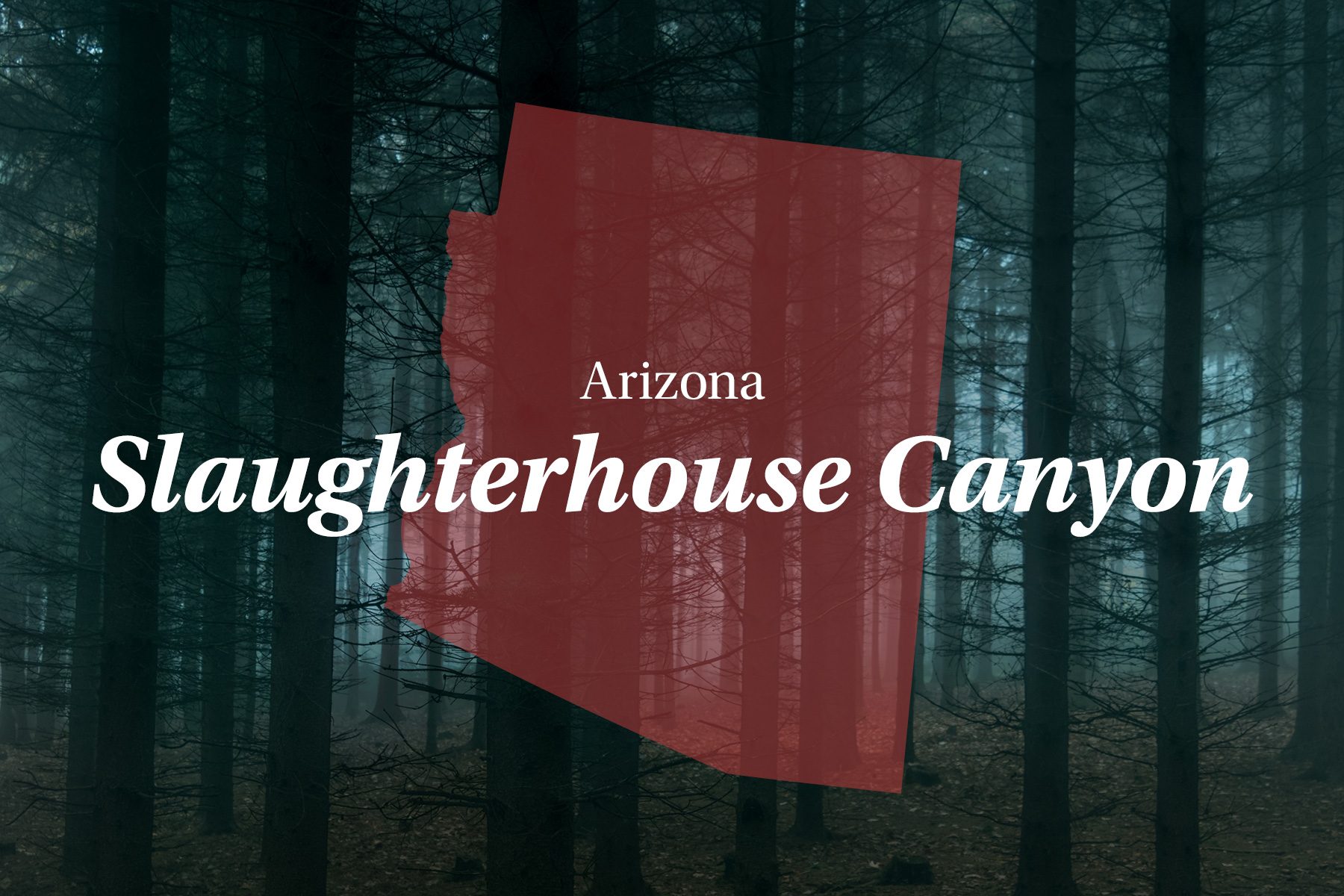 50 of the Spookiest Urban Legends from Every State