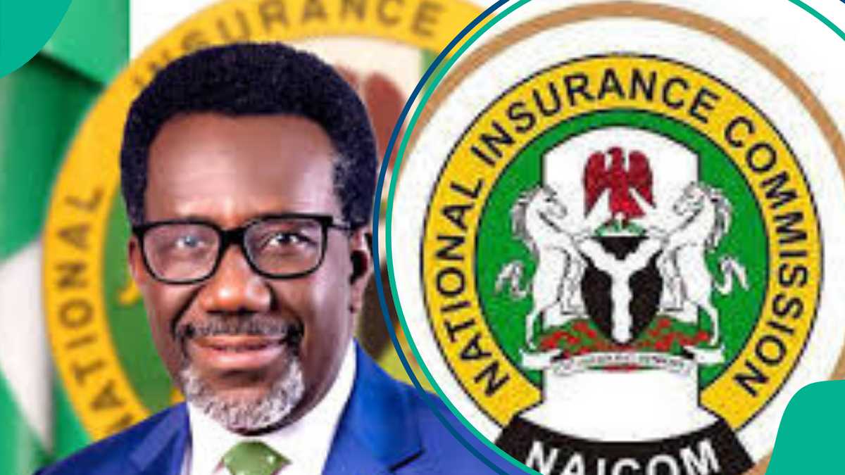NIIRA 2025: What you need to know about insurance requirements for gas ...