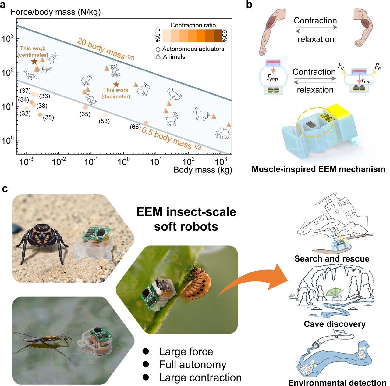 Going places: Muscle-inspired mechanism powers tiny autonomous insect ...
