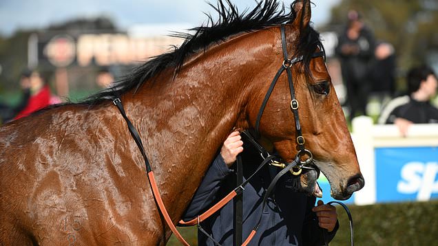 Firefighters smash through wall to rescue trapped horse