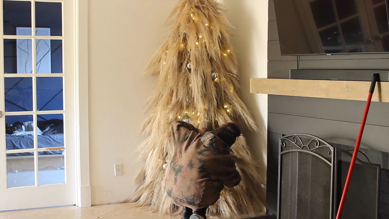 Can I create a pampas grass tree on a budget?
