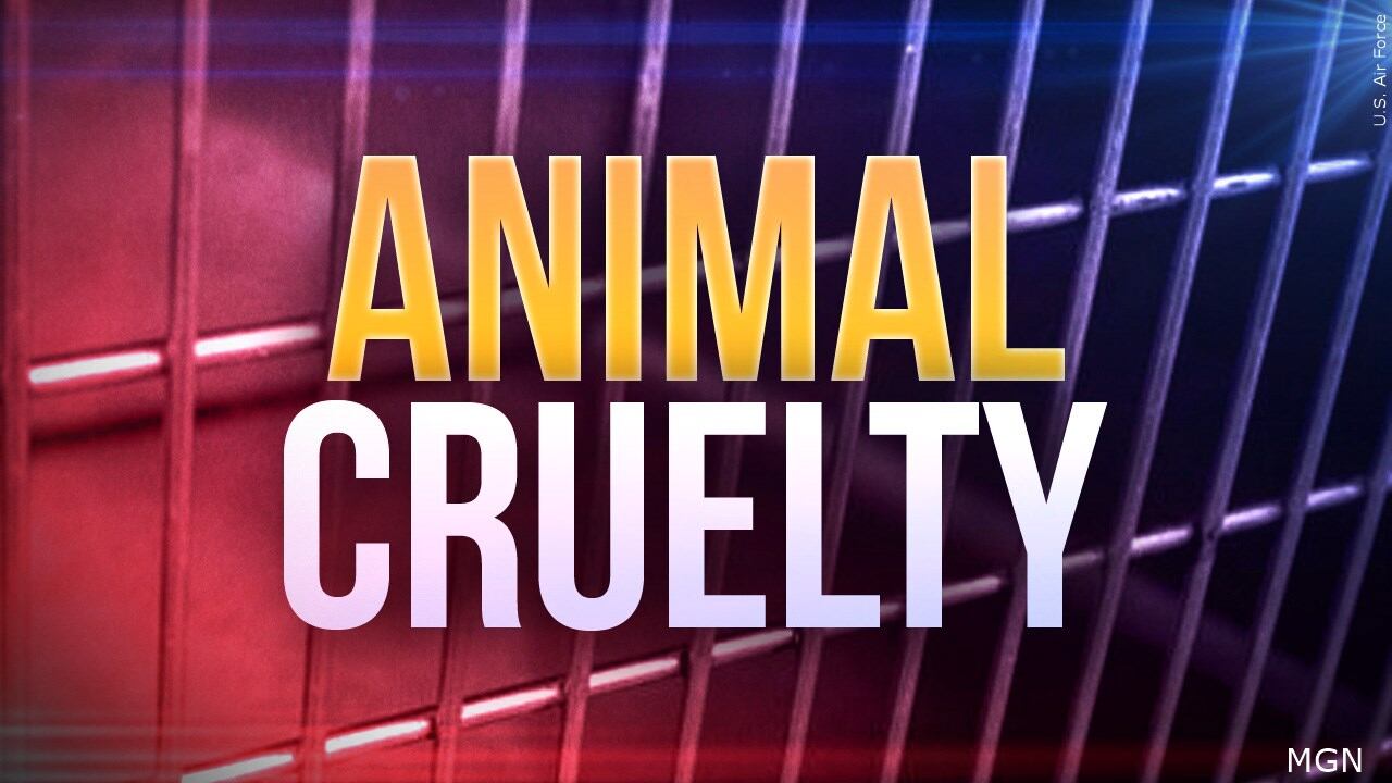 ‘One of the worst’: Two facing over 50 charges in connection to animal ...