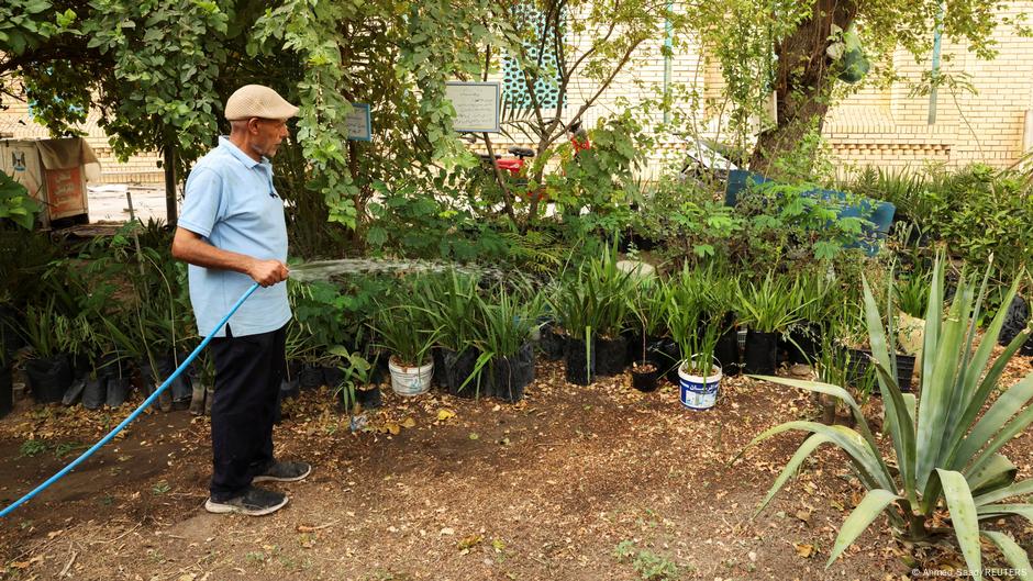 Free plants for Baghdad: Iraqi gardener fights desertification
