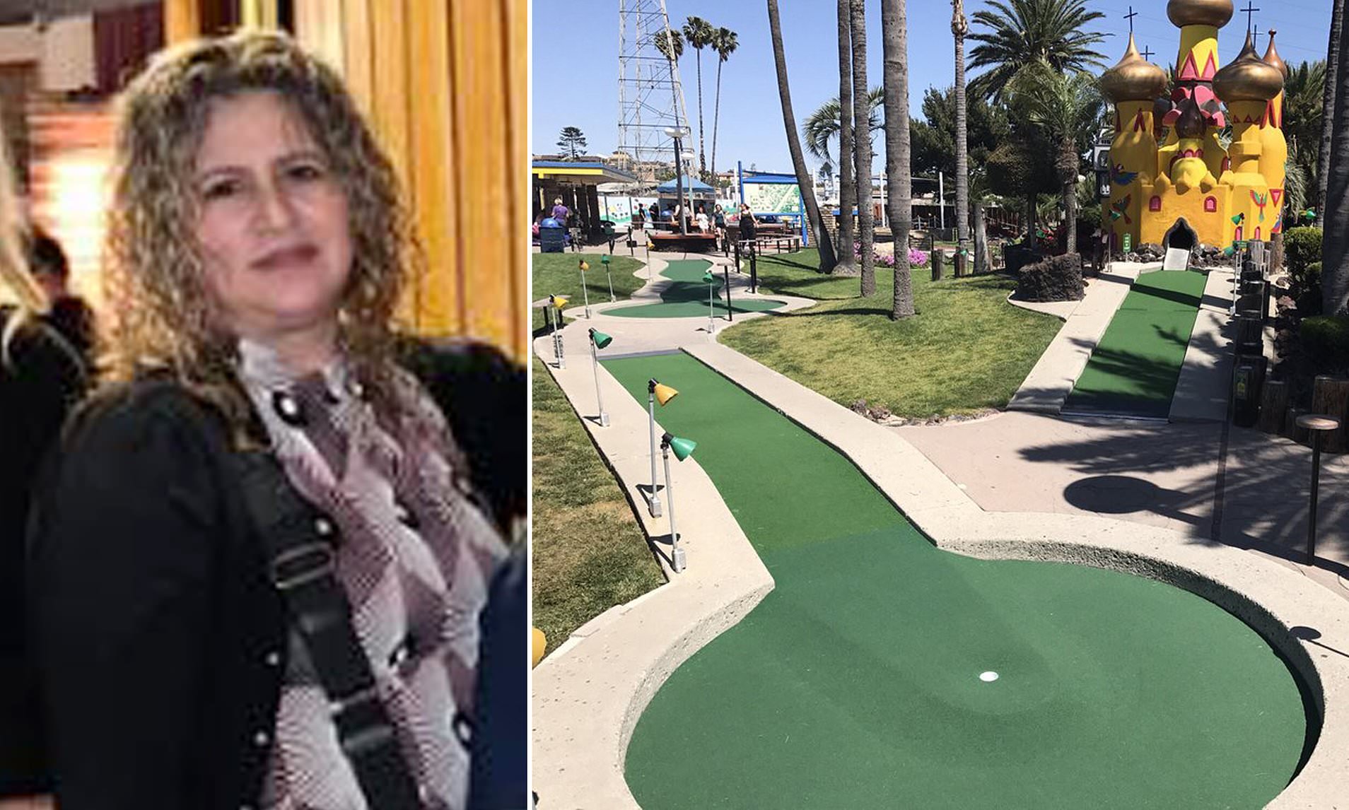 California woman loses her arm after freak palm tree accident at a ...