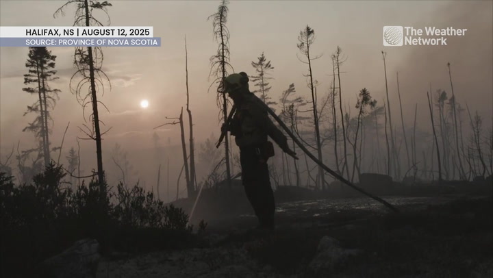 Halifax wildfire reduces in size but remains out-of-control
