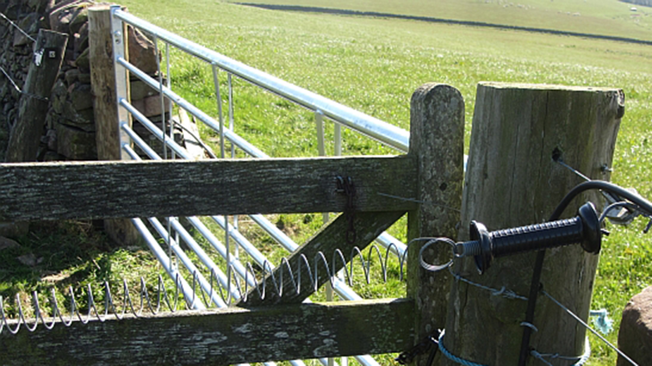10 Little Things You Don’t Think About Until You Own Land