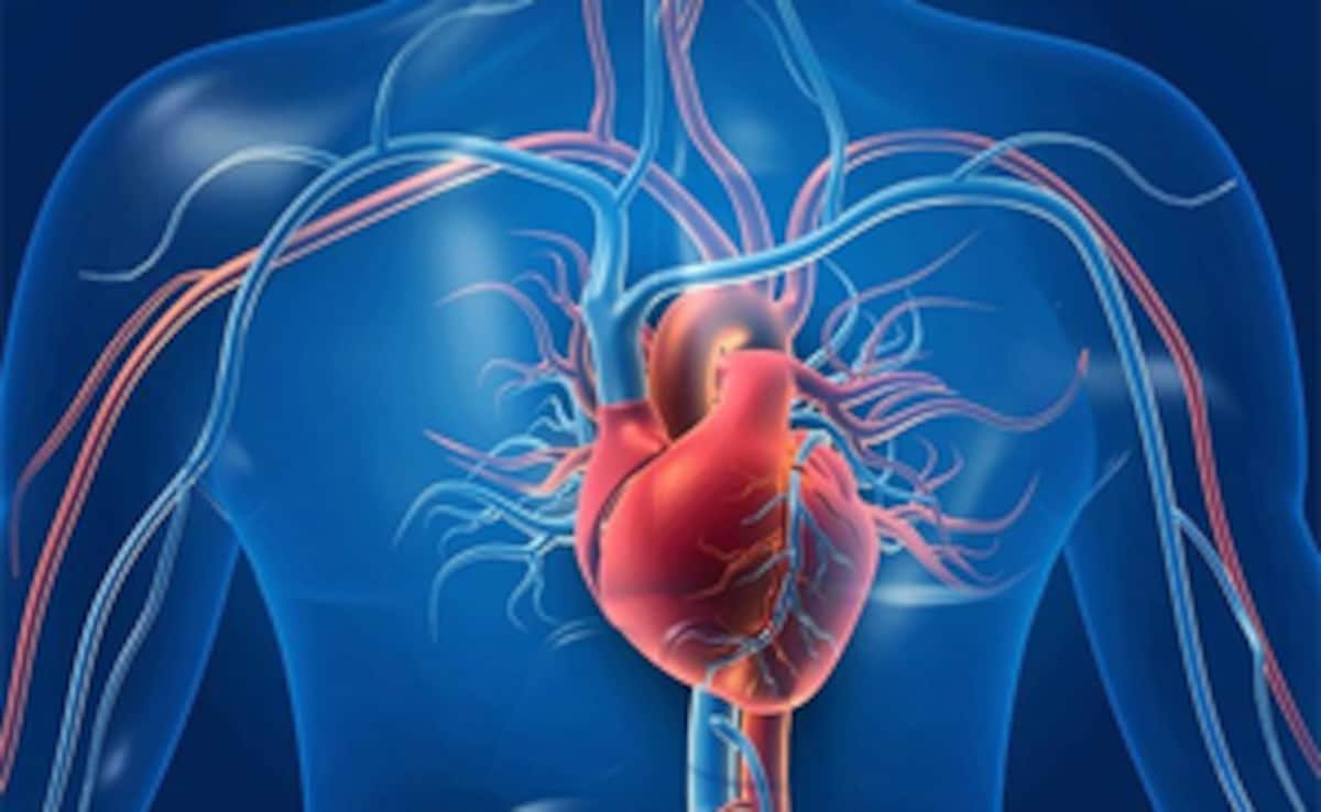 Vitamin K Can Cut Down Heart Disease Risk: Food Sources And How Much To ...