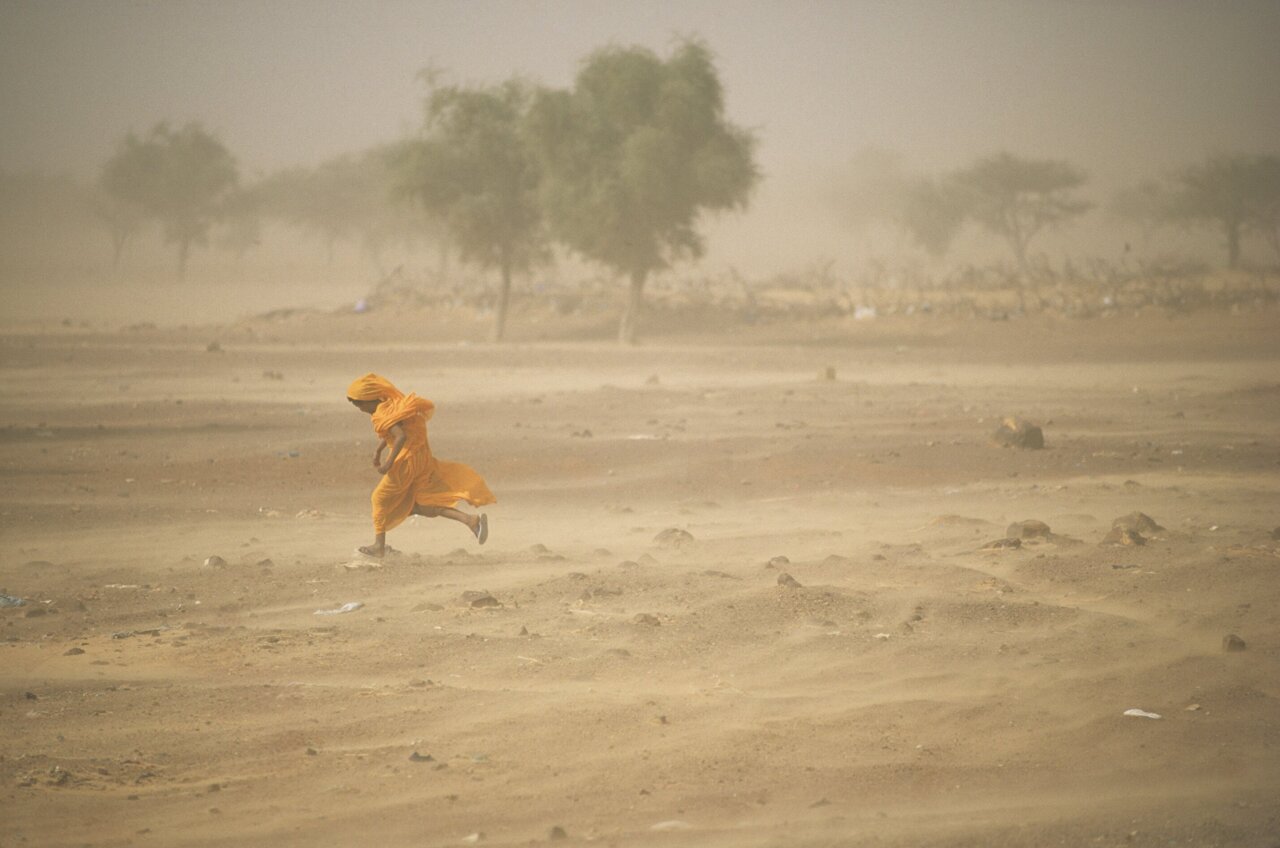 Overhaul global food systems to avert worsening land crisis, scientists ...