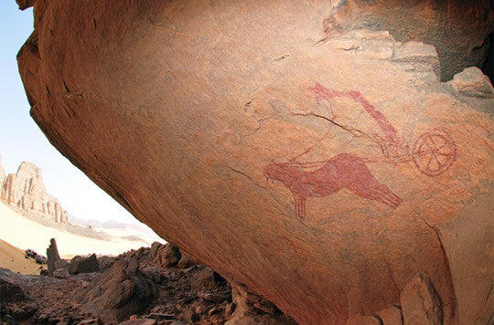 DNA testing of 1,400-year-old skeletons reveals ethnic diversity of ...
