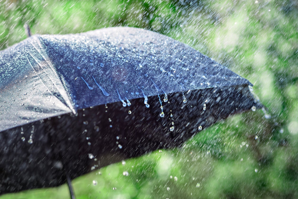 FOX Weather-approved gear for flooding and heavy rain