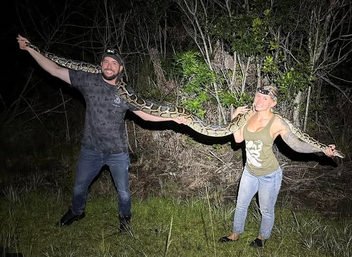 Florida Python Challenge winner nabbed 60 snakes and she's just 4'11"