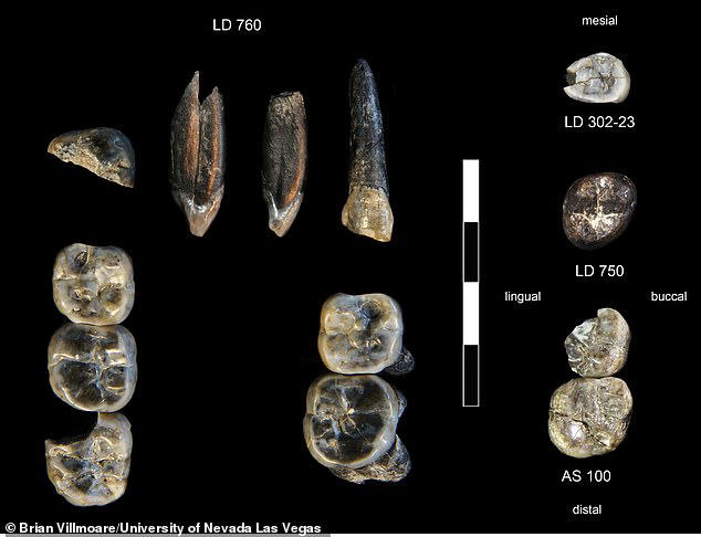 Missing chapter of human evolution dating back 2.8 million years uncovered in Africa